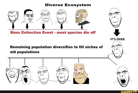 Diverse Ecosystem By Mass Extinction Event Most Species Die Off Its
