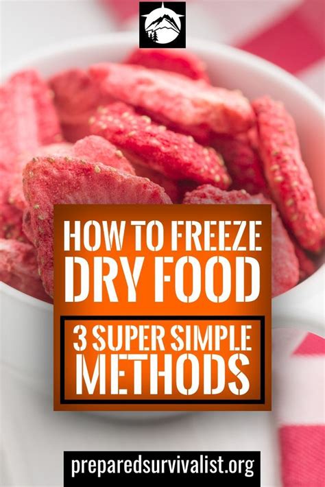 Freeze Dry Ideas Artofit