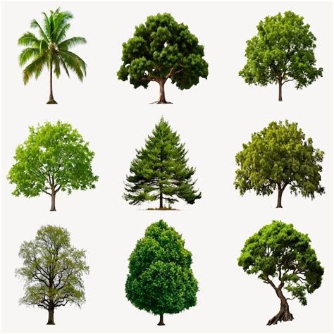 Page 2 Modified Trees Psd High Quality Free Psd Templates For Download
