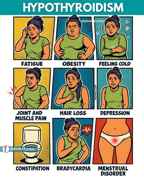 Medinaz Hypothyroidism Decreased Thyroid Hormone Production T3 T4