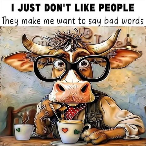 Pin By Cynthia Brizendine On Funny Quotas Pictures In 2024 Cows