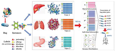 Figure 1 From Multiview Multi Instance Multilabel Active Learning