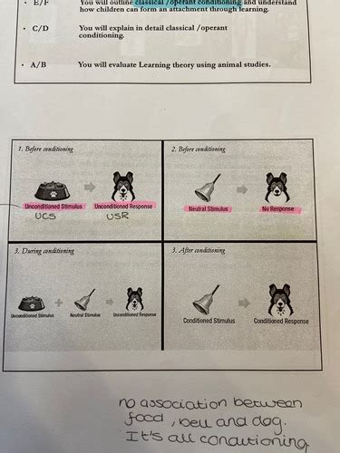 Learning Theory Flashcards Quizlet