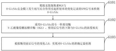 Quantitative Detection Method Of O Glcnac Eureka Patsnap