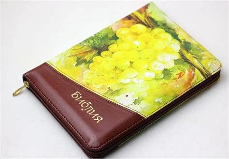 Купить книгу БИБЛИЯ НА МОЛНИИ. Цветная обложка с виноградной лозой в ...