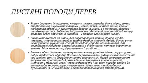 Тема уроку Деревяні основи Види деревини