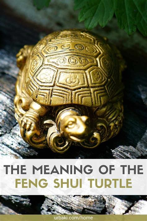 The Meaning Of The Feng Shui Turtle Artofit