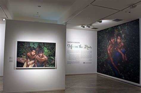 Life On The River Whats On Exhibitions Cairns Art Gallery
