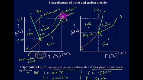 Phase Diagrams Of Co2 And Water Co2 Oco Labs