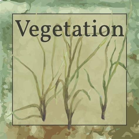 Shoreline Monitoring Toolbox Vegetation Protocol