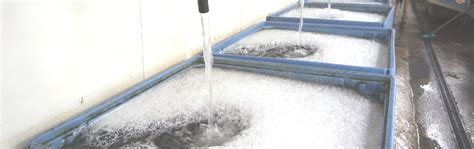 Purification Glenbeigh Shellfish