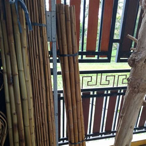 Jual Bambu Polos 2 Meter Diameter Besar Harga Perbatang Dekorasi Rumah