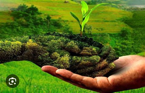 Priya Darsini Biswal On Linkedin Snsinstitutions Snsdesignthinkers Designthinking