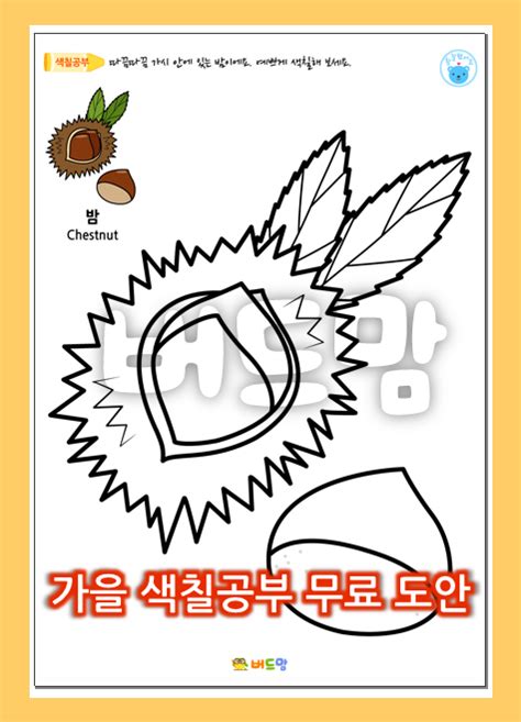 가을 색칠공부 ~ 가을 열매 색칠하기 무료 도안 네이버 블로그