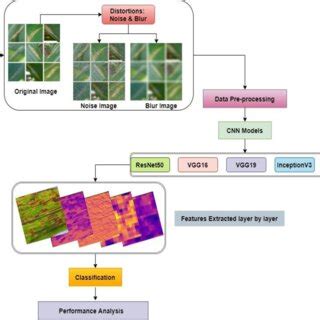 Proposed Method For Classification Of Plant Disease Using Cnn Models