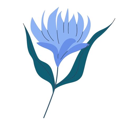 Premium Vector Cornflower Cute Blue Spring Flower Summer Background