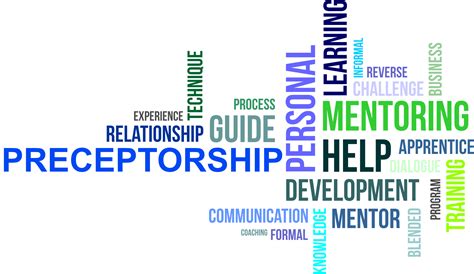 Preceptorship Module Petra