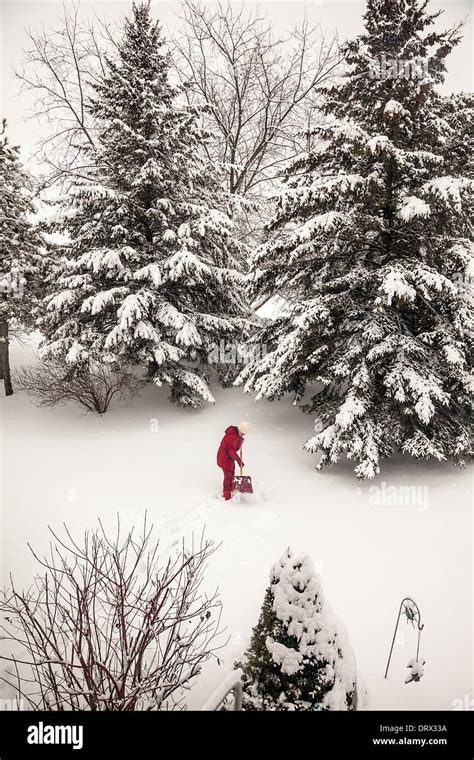 Woman In Red Is Shoveling Her Driveway In Canadian Winter With Lots Of