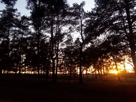 Saturn Ring Art On Tumblr