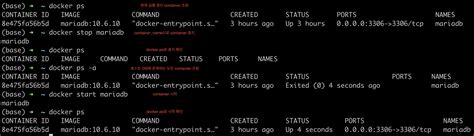프로젝트 환경 구성 for Mac with Docker