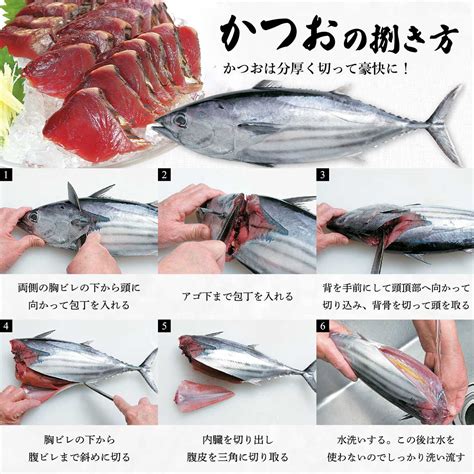【楽天市場】【期間限定販売】 南郷漁業協同組合 かつお 初かつお 3kg かつお 日本一 初鰹 天然鰹 鰹 刺身 たたき 宮崎県産 カツオ