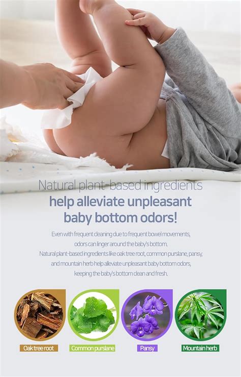 Foblangshi Probiotic Lacto Baby Bottom Wash, pH Balanced Foam Type ...