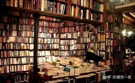 岛上书店因为一本书爱上一个人 知乎