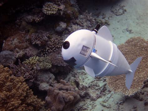 Mit Reveal Soft Robotic Fish For Documenting Marine Life