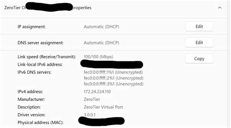 Can Only Ping One Way Community Support Zerotier Discussions