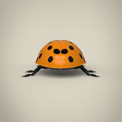 3d Ladybug Turbosquid 1958938