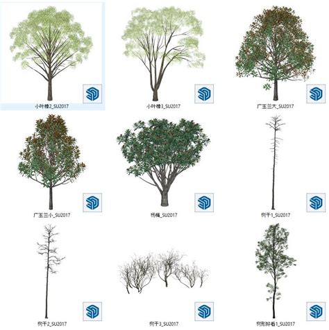 3d Tree Model Sketchup File High Quality 3d Model