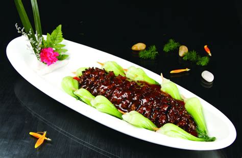 鲍汁扒梅花参图片素材 鲍汁扒梅花参设计素材 鲍汁扒梅花参摄影作品 鲍汁扒梅花参源文件下载 鲍汁扒梅花参图片素材下载 鲍汁扒梅花参背景素材 鲍汁
