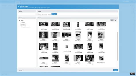 Fonto Editor Non Textual Content YouTube