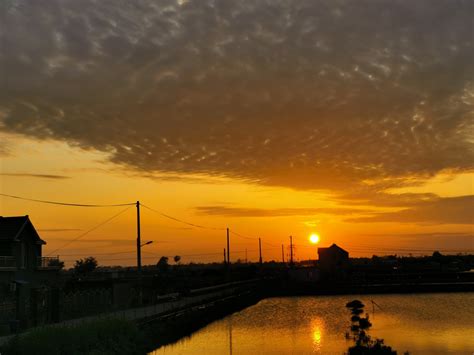무료 이미지 어스름 잔광 구름 일몰 해돋이 저녁 물 황혼 수평선 반사 수로 주황색 노랑 강 분위기 아침에 붉은 하늘 태양 나무 새벽