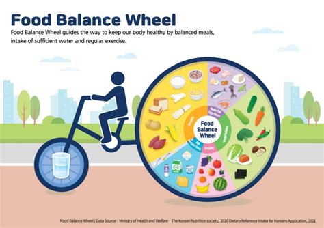2020 한국인 영양소 섭취기준 식품구성자전거 네이버 블로그
