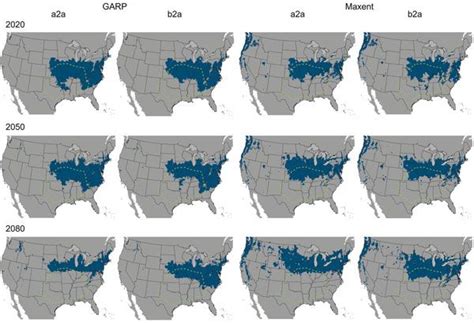 Brown Recluse Spiders May Invade Northern Us As Planet Warms Live Science