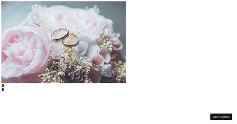 Working Carousel With No Animation Codesandbox