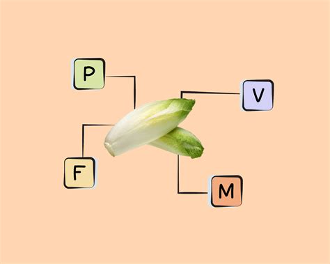 Endive Nutrients