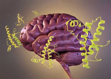 Doctors Predict Epidemic Of Prion Brain Diseases