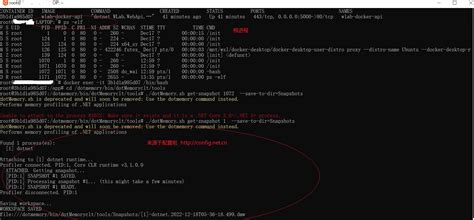 docker镜像中安装dotMemory对容器中应用的内存dump进行分析 泄露不释放等 持久更新 配置啦 研发运维人员必备网站