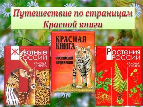 Красная книга картинка для детей
