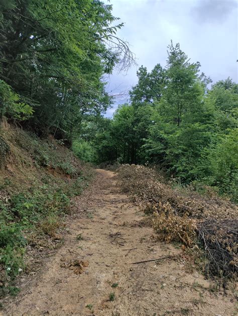 Recognizing Cryptic Alteration And Vectoring Towards Carbonate Hosted Hydrothermal Ore Deposits