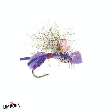 Top 5 Summer Terrestrial Fly Patterns The Caddis Fly Oregon Fly