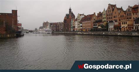Sex Palestra I Fałszywe Zeznania Nowa Afera W Trójmieście