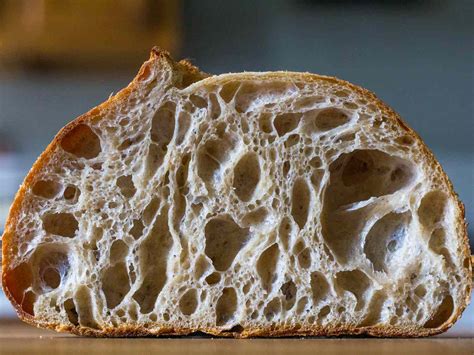 Alcoholic Fermentation Bread
