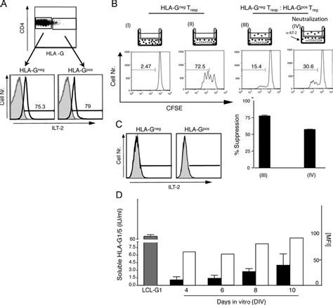 Hla G Pos T Reg Mediated Suppression Does Not Depend Entirely On