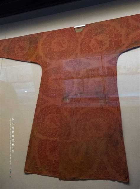 Chinese Tang Dynasty Clothing Hanfu Relics 仙人跨鶴紋綾袍
