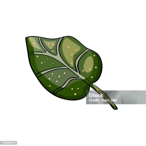 수련 또는 수련 잎 신성한 식물 단풍 동양 꽃입니다 중국 과 인도 0명에 대한 스톡 벡터 아트 및 기타 이미지 0명 개화기 낙서 드로잉 Istock