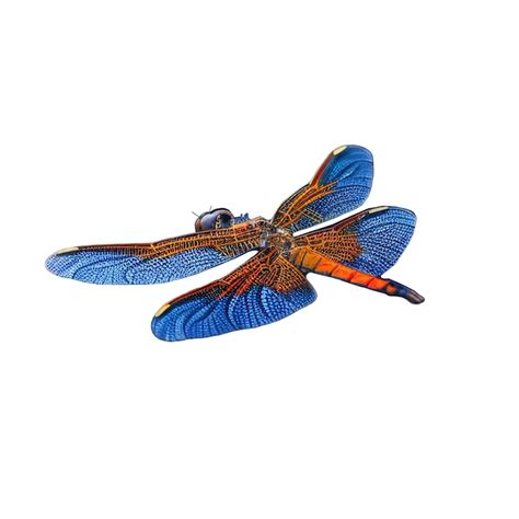 Libelle Png Bilder Kostenloser Download Auf Freepik