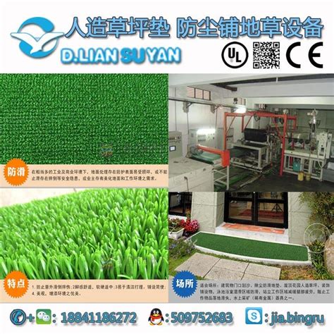 Plastic Grass Mat Production Line Dsy Cpd 1200 Dsy China